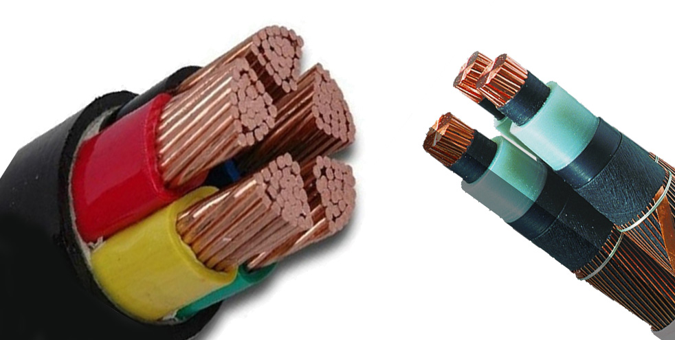 BLS Polymers